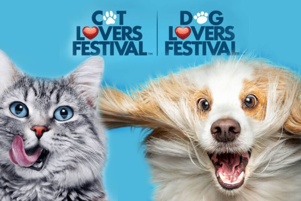 Why Do Cats and Dogs Fight? Understanding the Root Causes